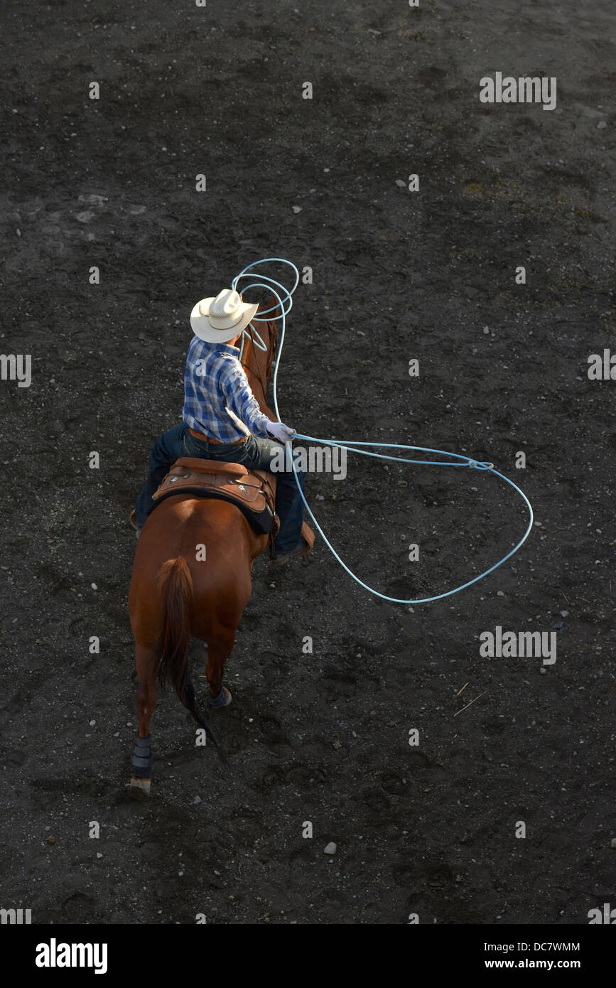 Cowboy roping horse hi-res stock photography and images - Alamy