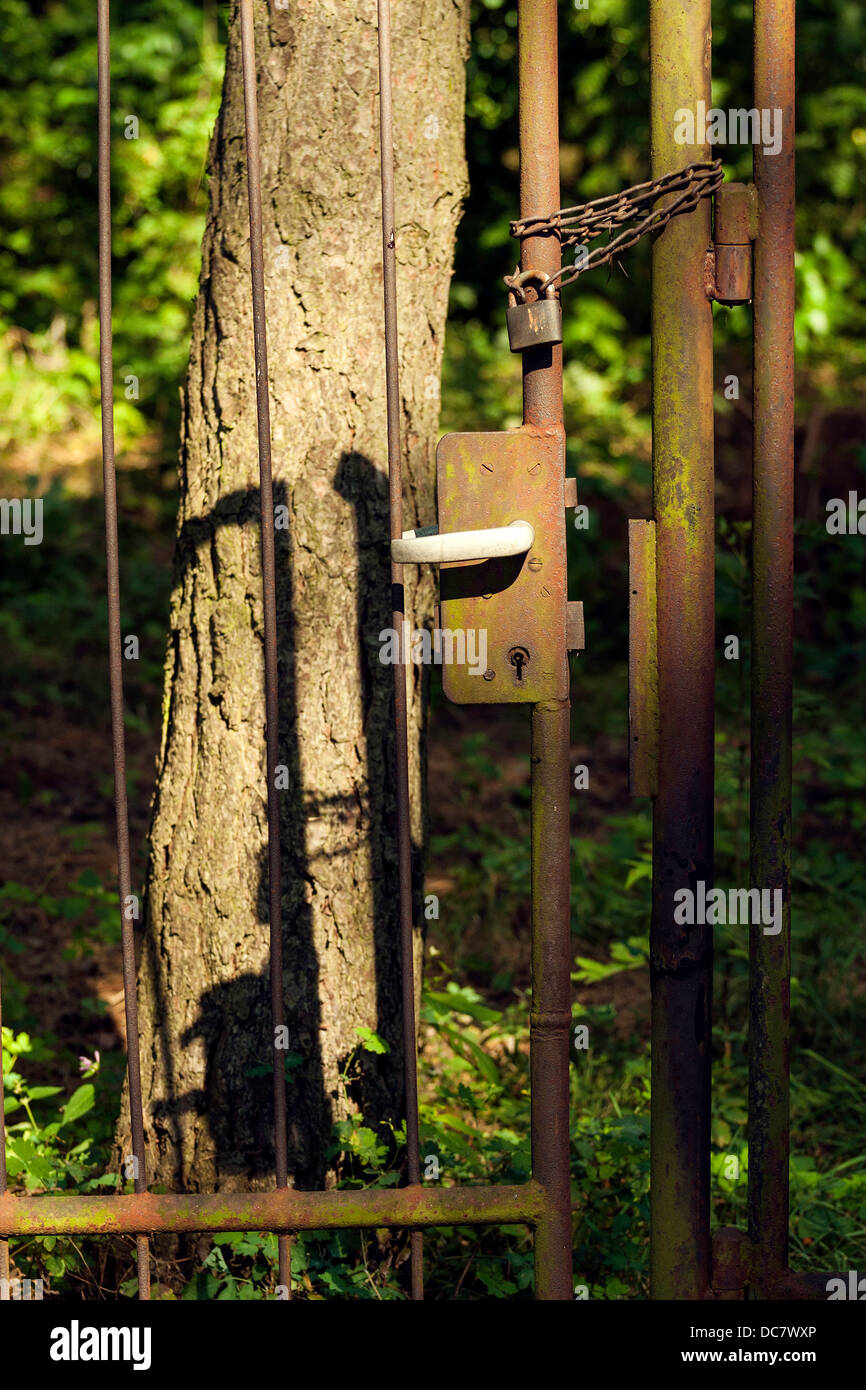 Padlock tree hi-res stock photography and images - Alamy