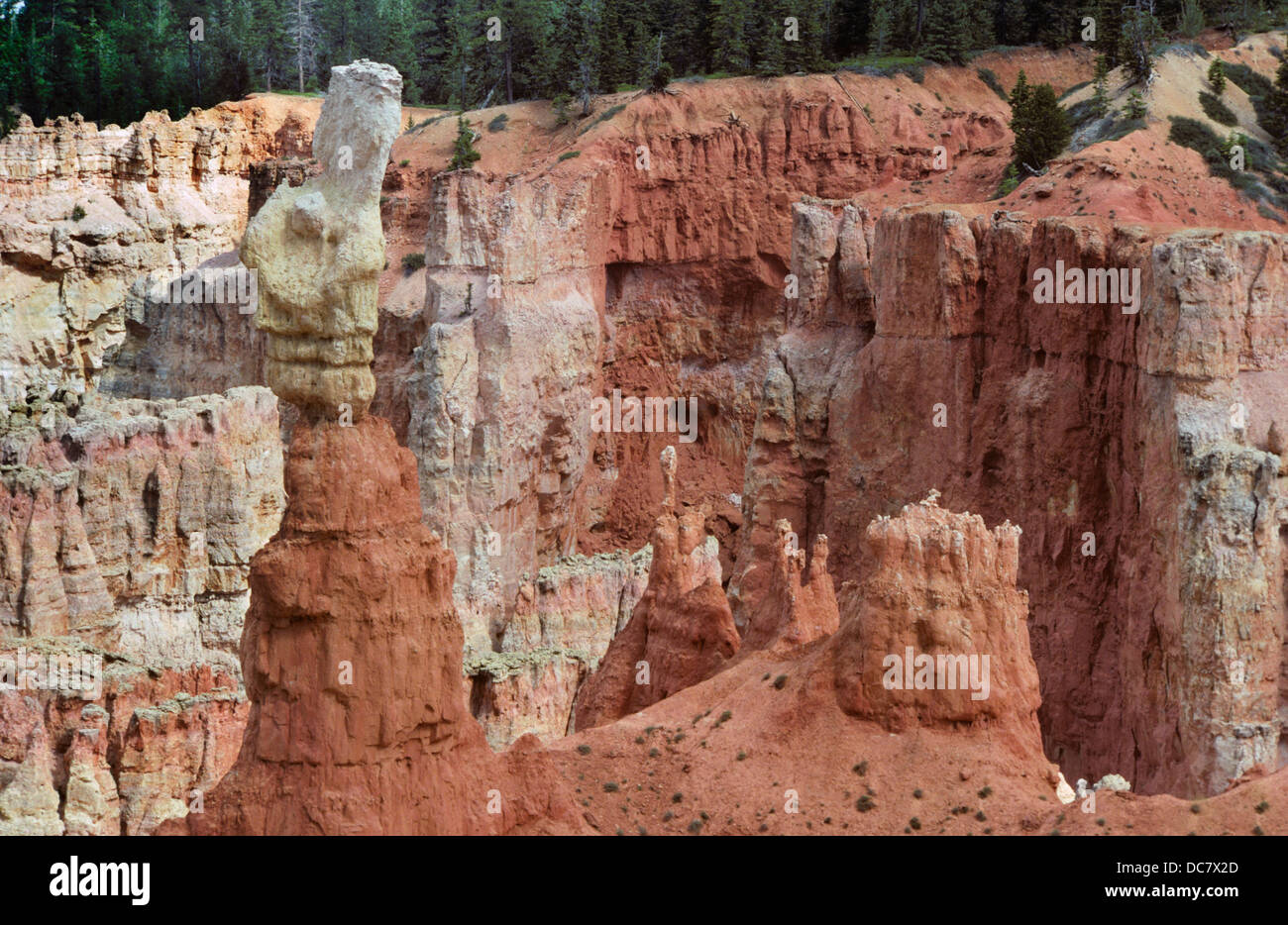 The rabbit bryce canyon hi-res stock photography and images - Alamy