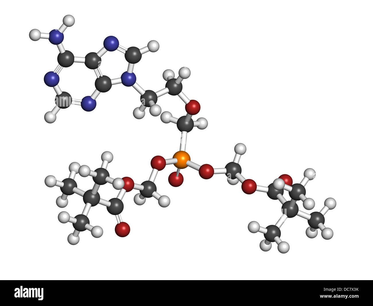 Adefovir dipivoxil hepatitis B and herpes simplex virus (HSV) drug ...