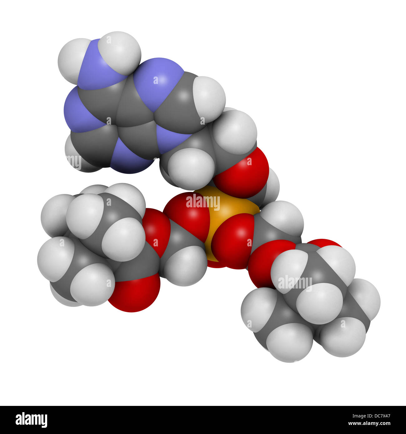 Adefovir dipivoxil hepatitis B and herpes simplex virus (HSV) drug ...
