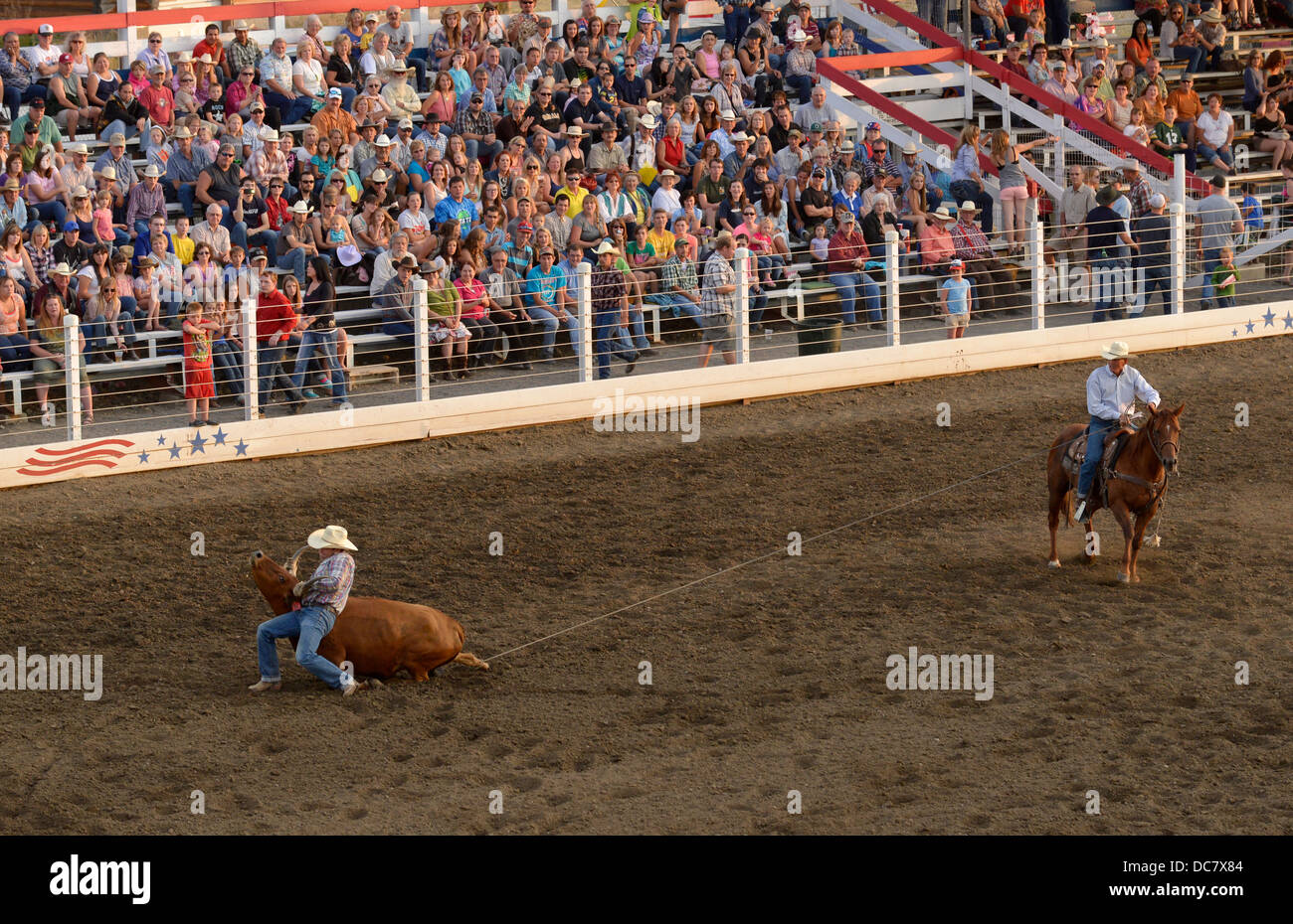 Steer roping event at the Chief Joseph Days Rodeo in Joseph, Oregon ...