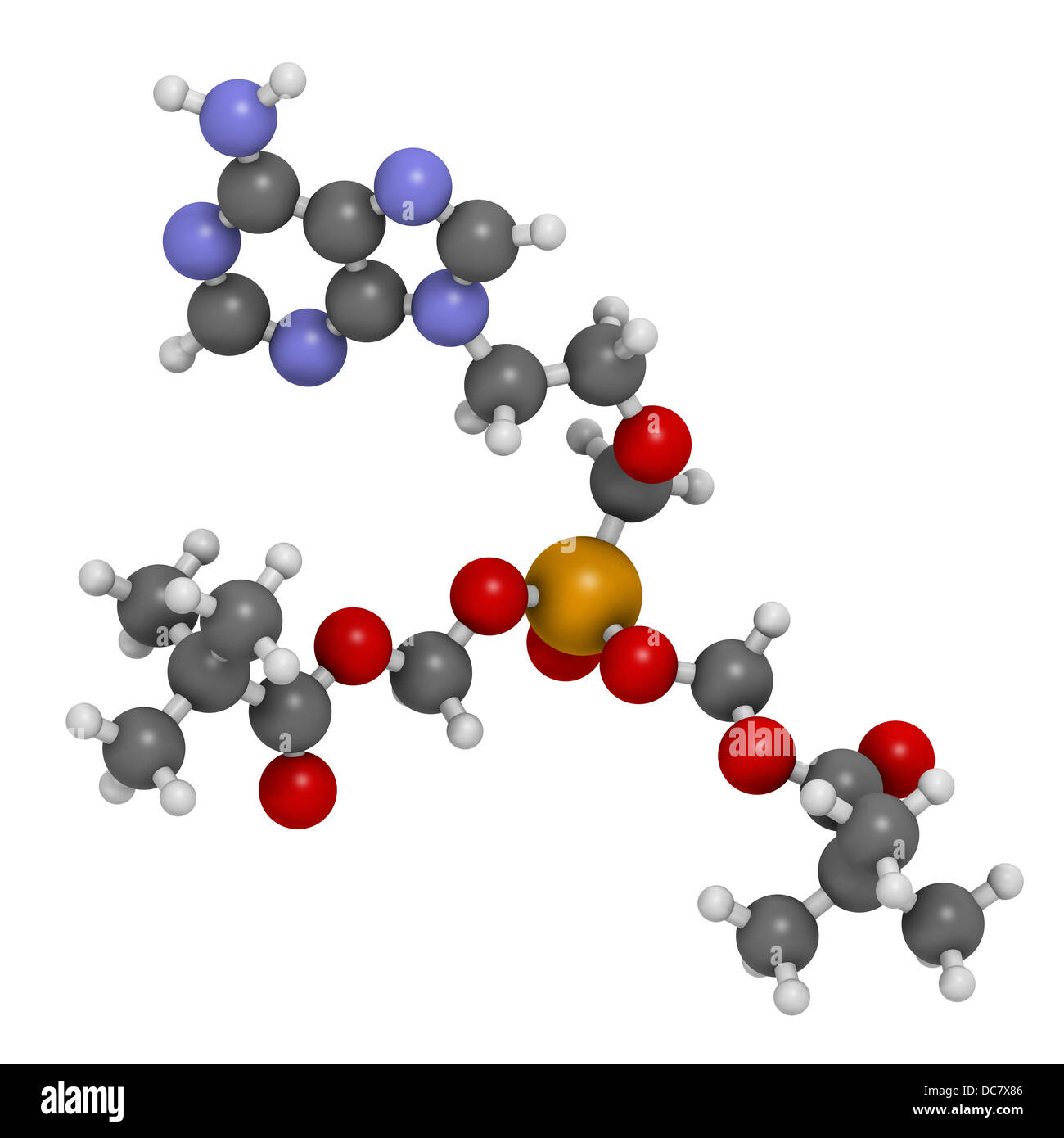 Adefovir dipivoxil hepatitis B and herpes simplex virus (HSV) drug ...