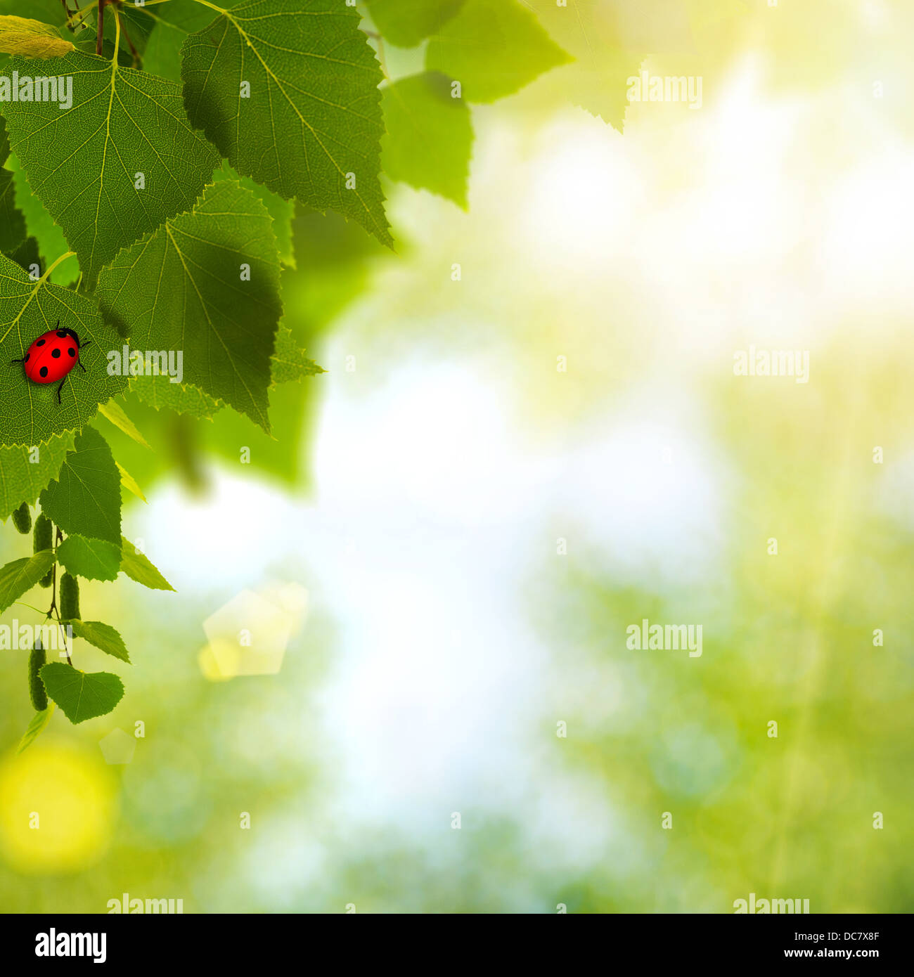Ladybug. Abstract environmental backgrounds for your design Stock Photo ...