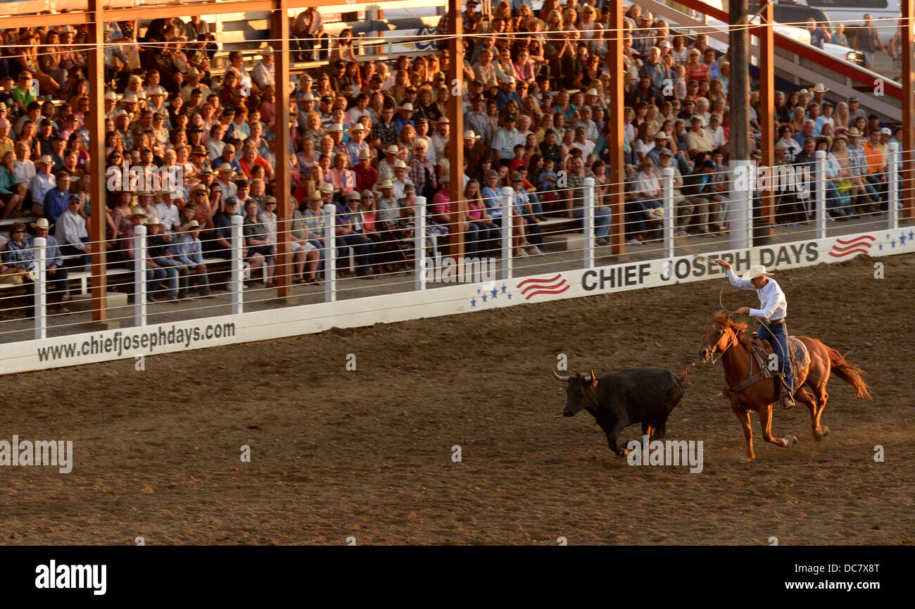 Steer roping event at the Chief Joseph Days Rodeo in Joseph, Oregon ...