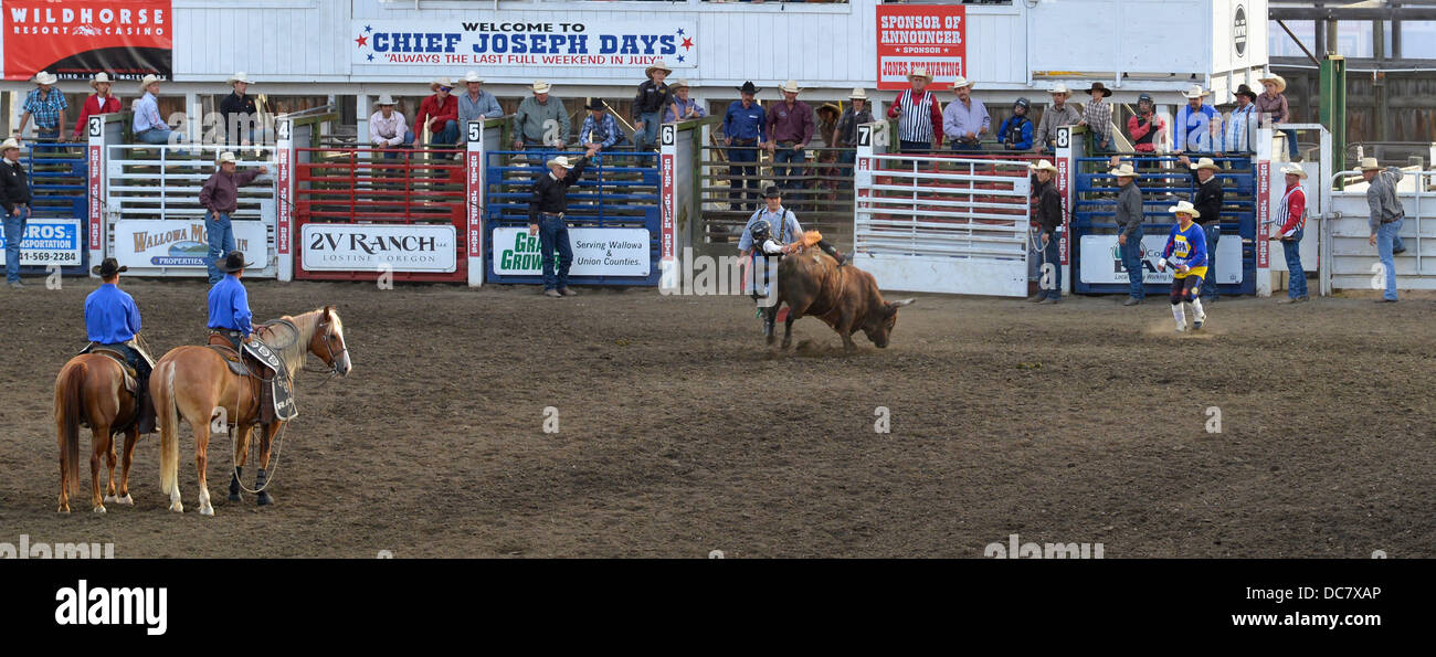 Bull riding hi-res stock photography and images - Alamy