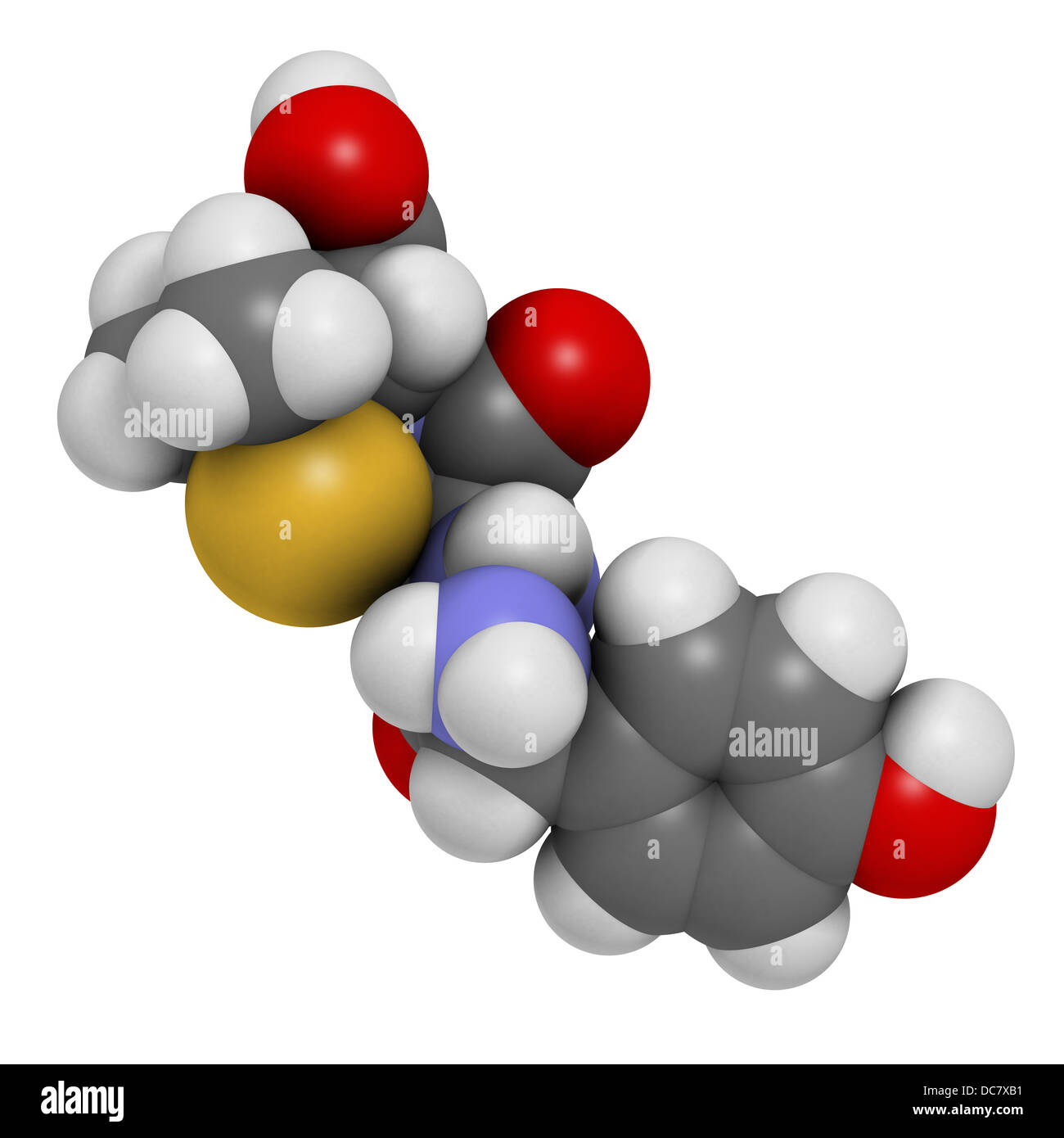 Augmentin Structure