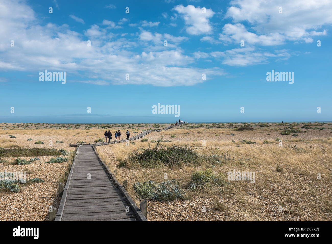 Kent nature reserve hi-res stock photography and images - Alamy