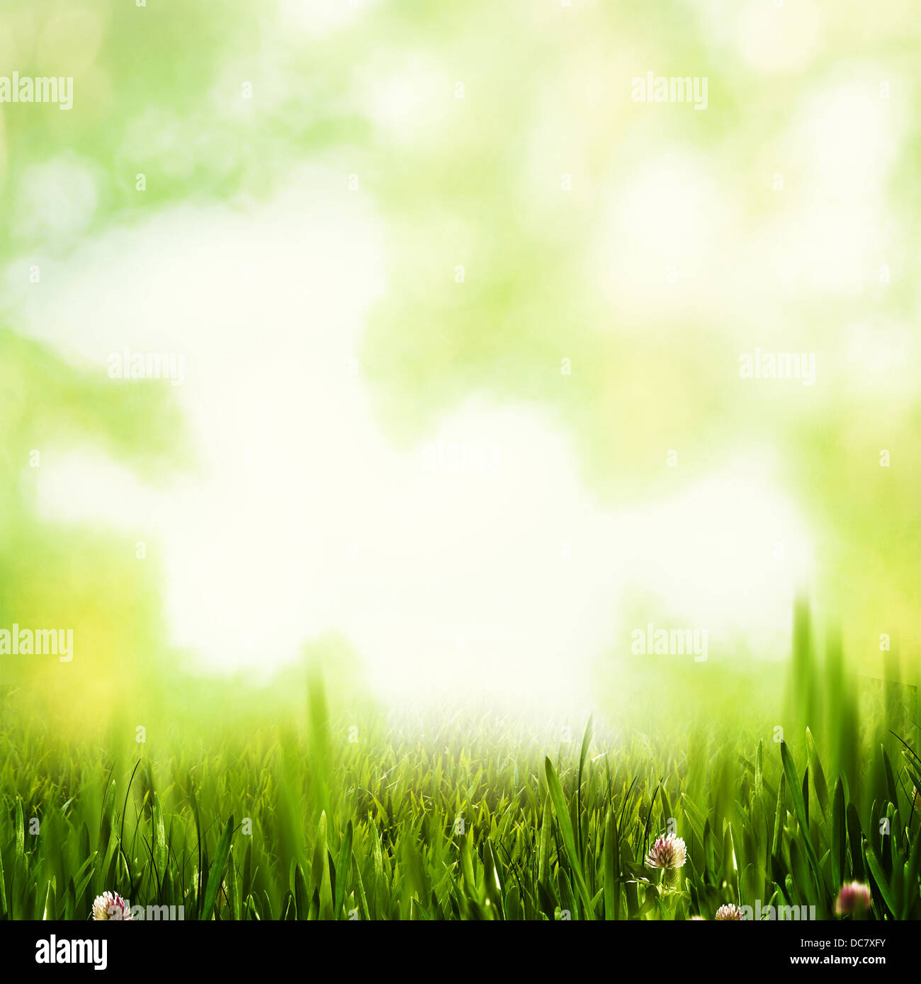 Abstract environmental backgrounds for your design Stock Photo - Alamy