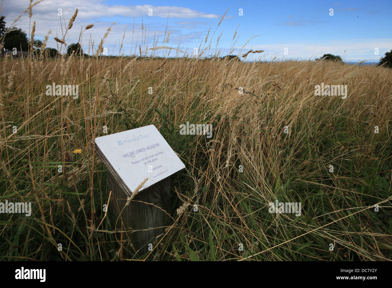 National trust wild flower meadow sign Stock Photo - Alamy