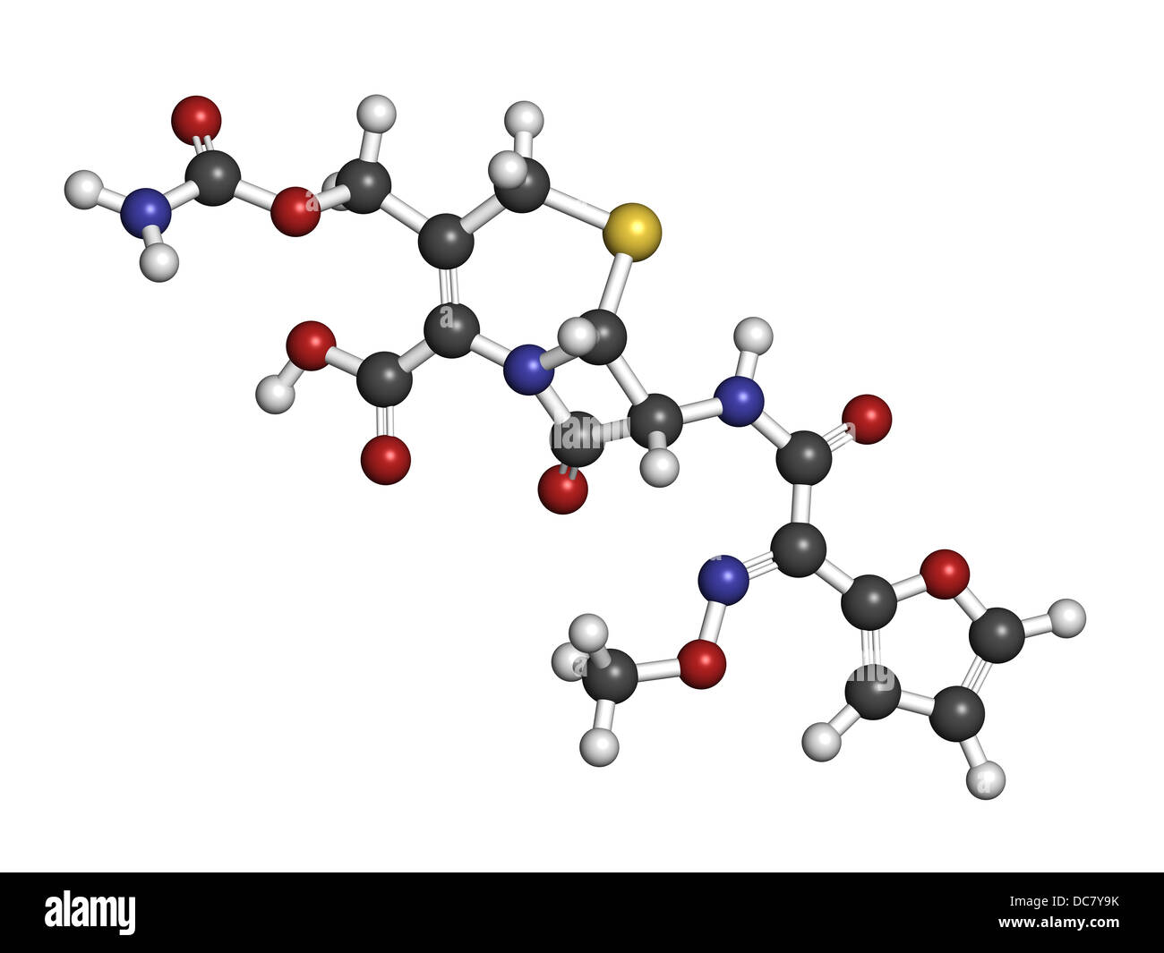 Cephalosporin resistant hi-res stock photography and images - Alamy