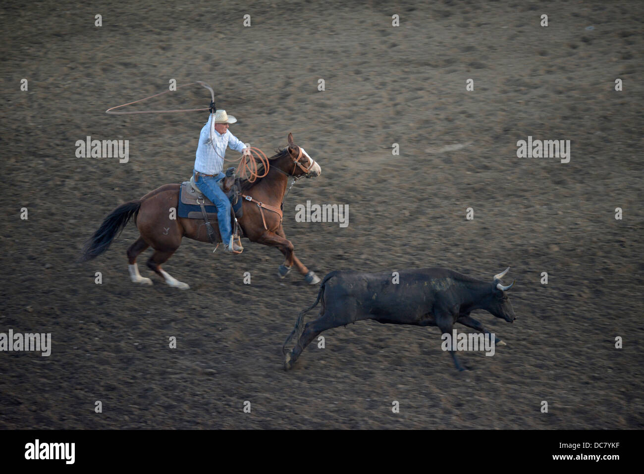Roping hi-res stock photography and images - Alamy