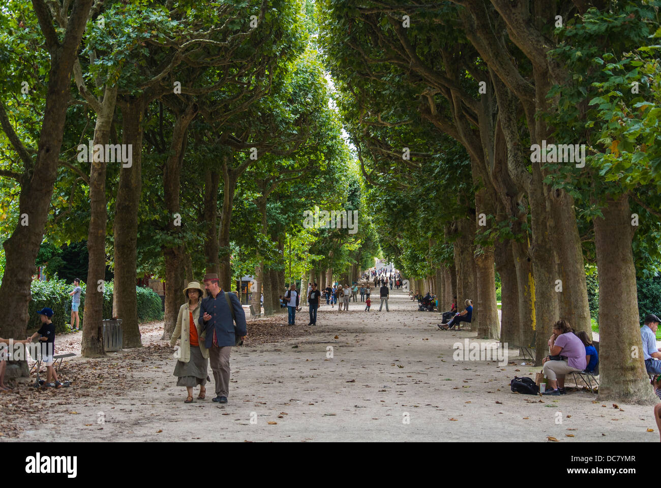 Trees couples romantic adults alley paths pathway walking summer hi-res ...