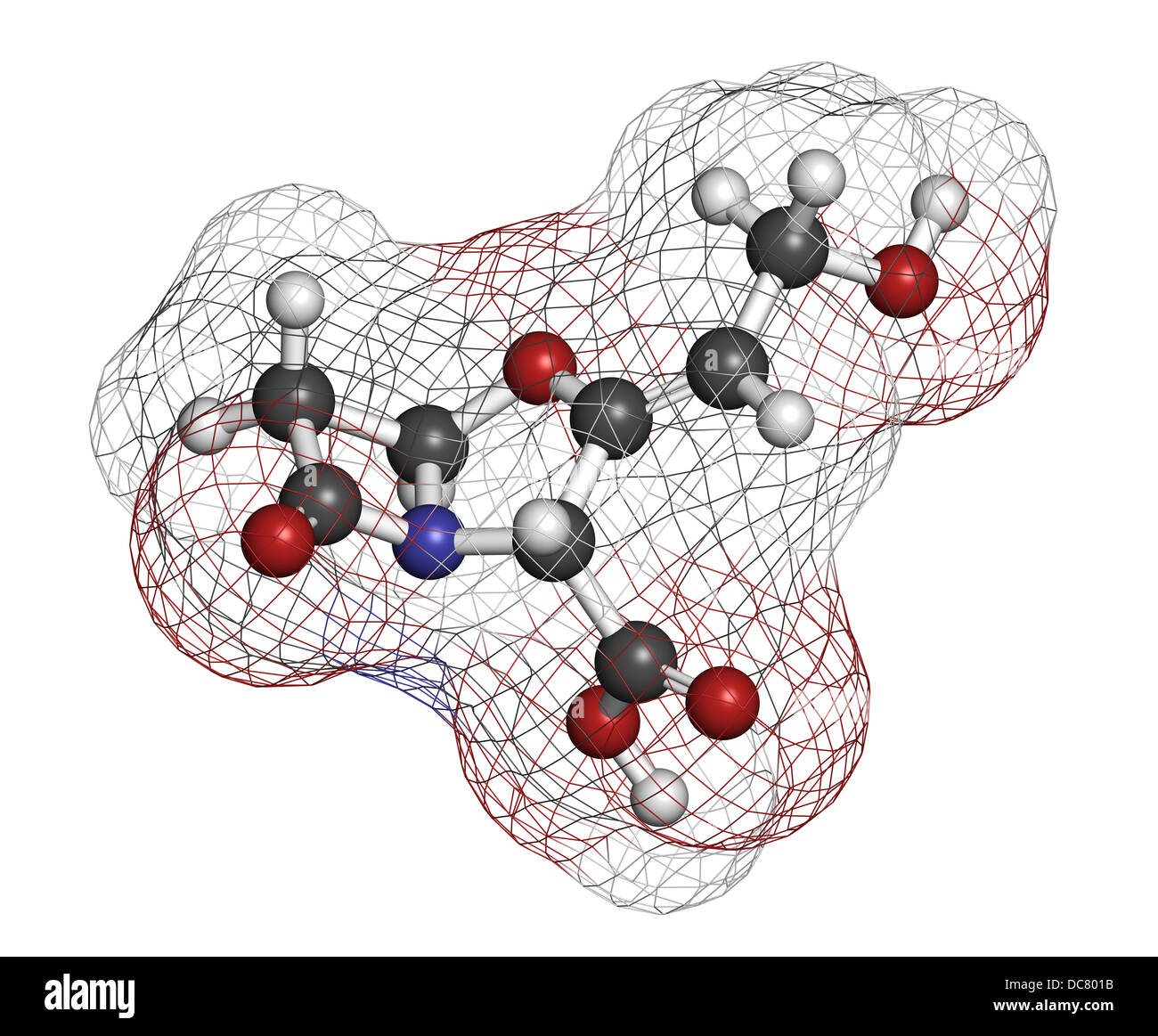 Clavulanic acid beta-lactamase blocker drug, chemical structure. Often ...