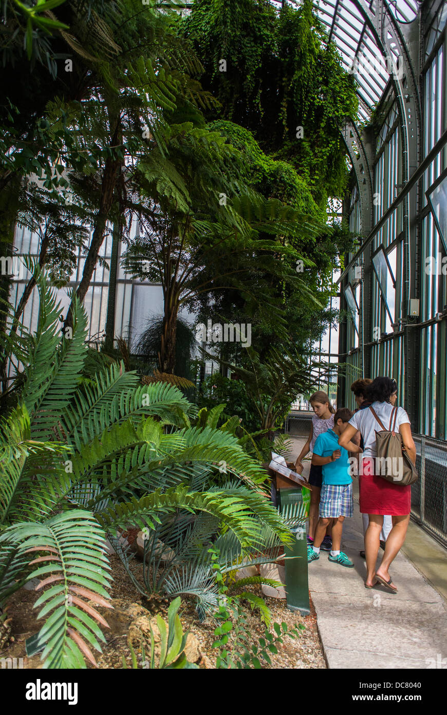 Paris, France, Family Visiting inside Greenhouse in City Park, Jardin ...