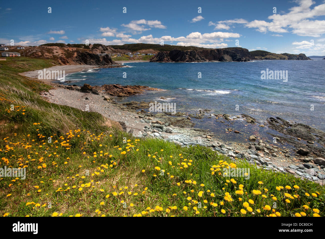 Twillingate island newfoundland hi-res stock photography and images - Alamy