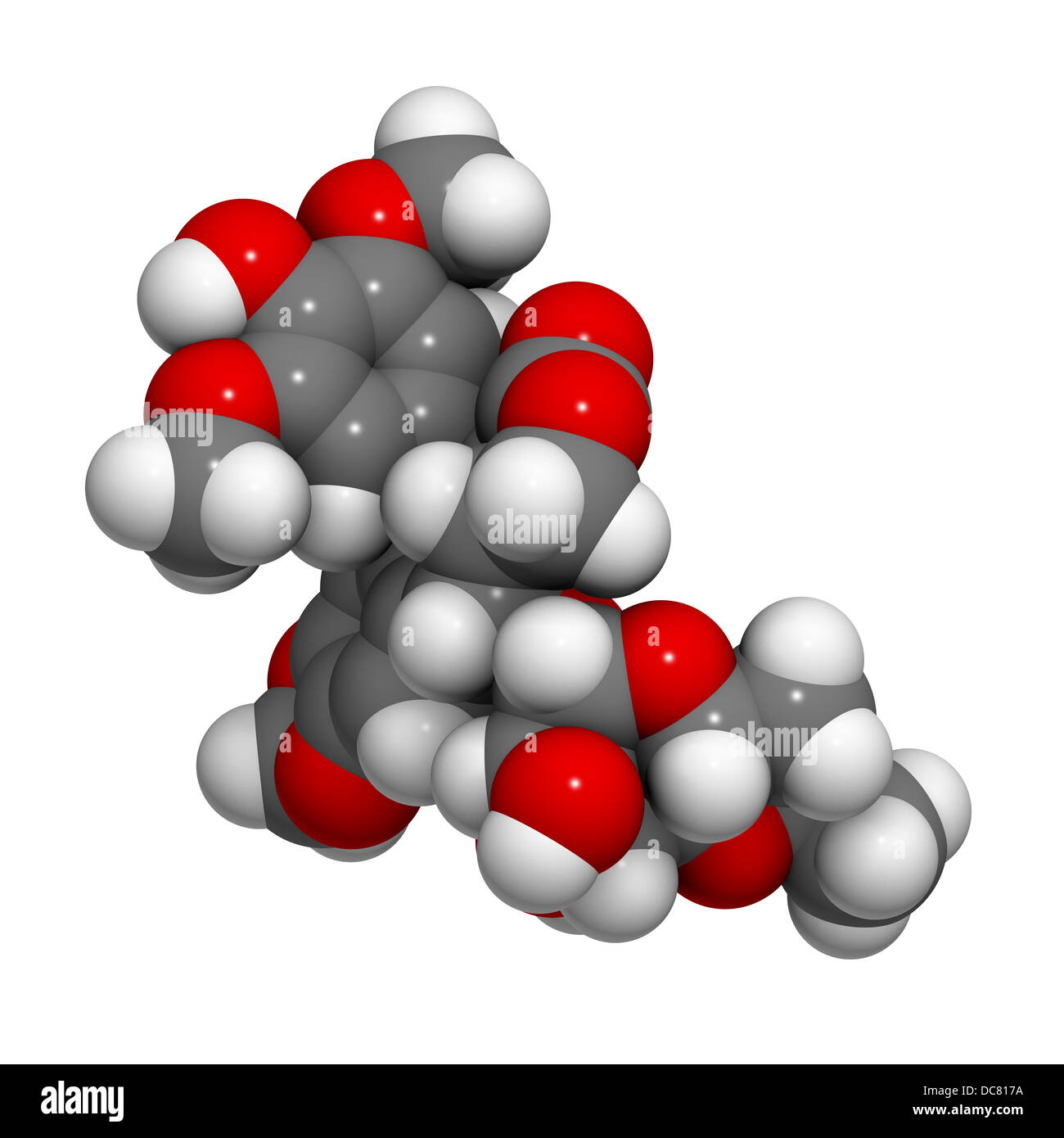 Etoposide cancer chemotherapy drug, chemical structure. Atoms are ...