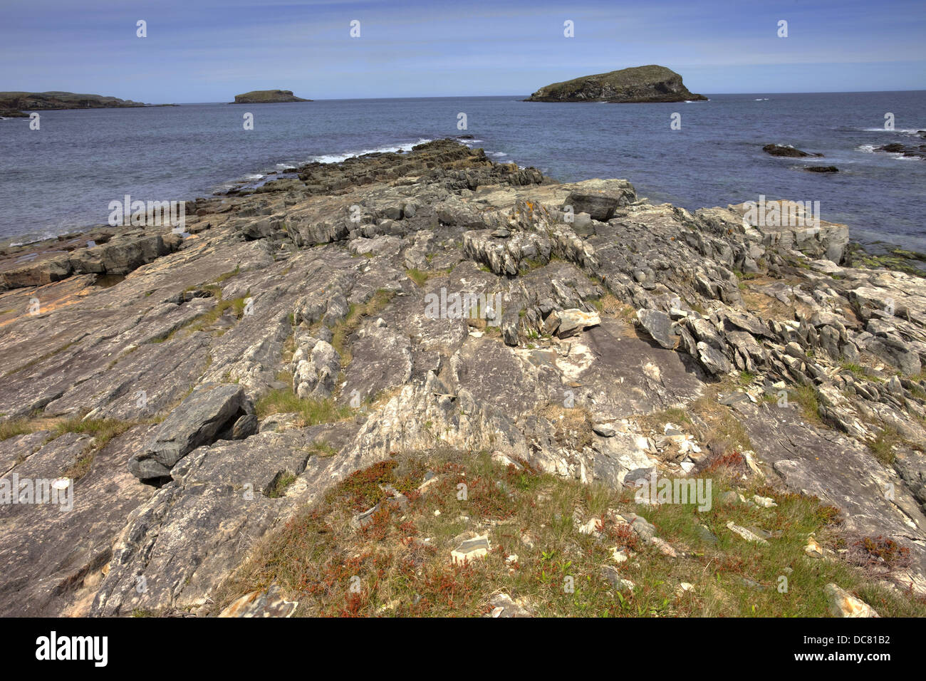 Newfoundland coastal view hi-res stock photography and images - Alamy