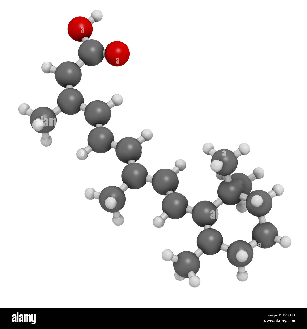 Isotretinoin acne treatment drug, chemical structure. Known to be a ...