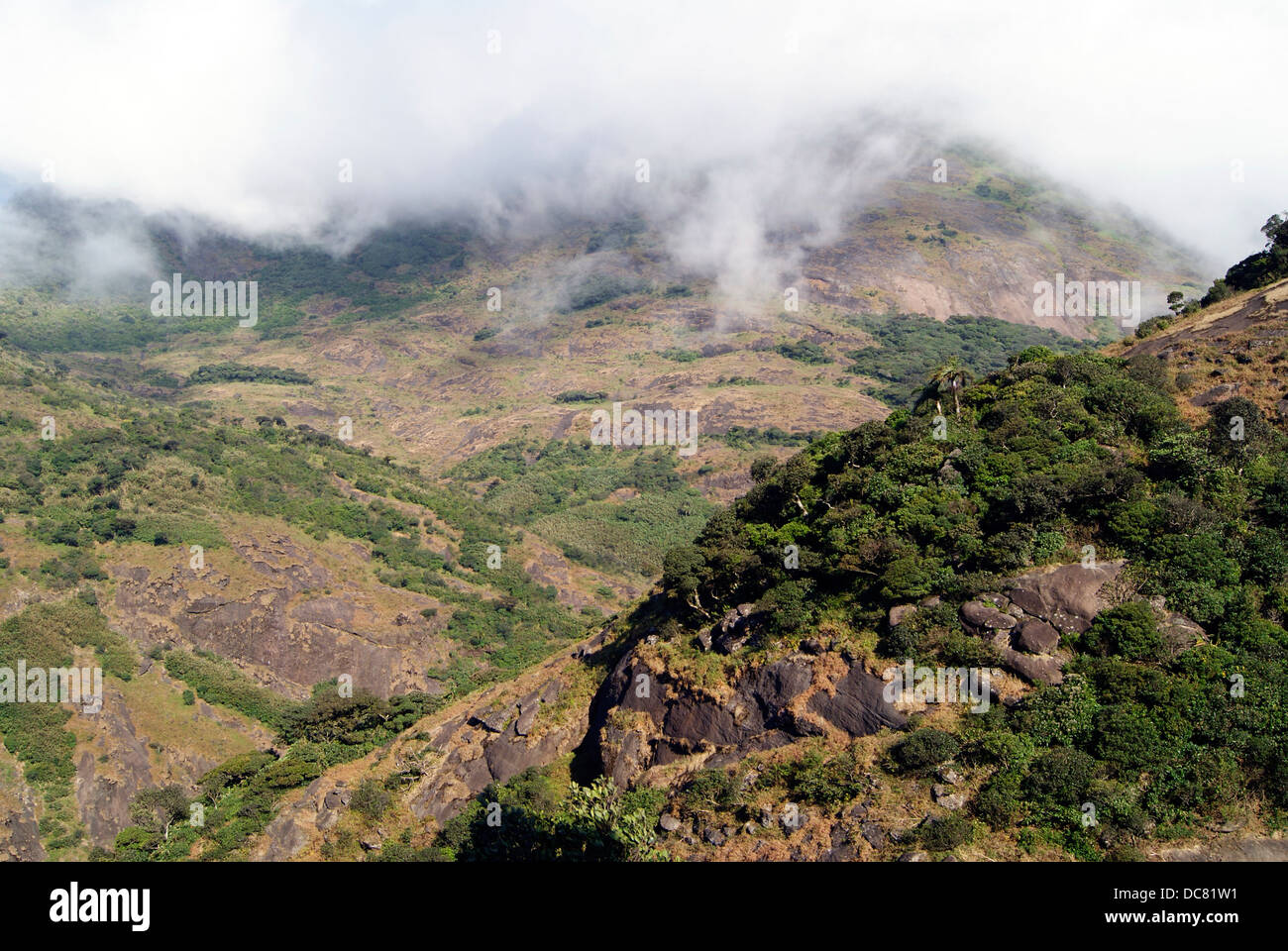 Clouds touching the Agasthyarkoodam Peak Western Ghats Mountains and ...