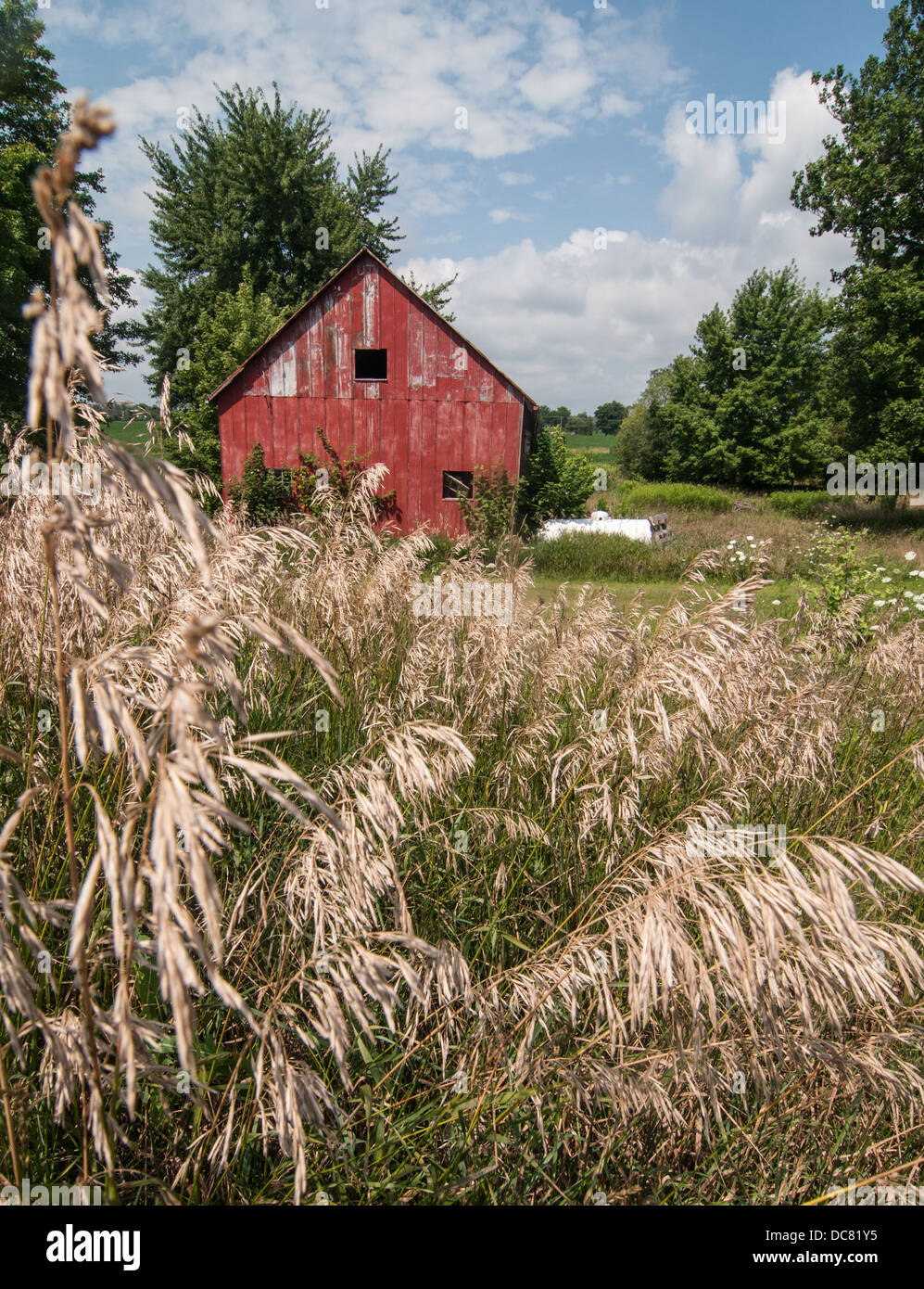 Old red barn on farm Stock Photo - Alamy