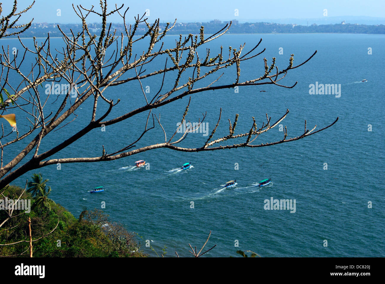 Boating through goa backwaters hi-res stock photography and images - Alamy