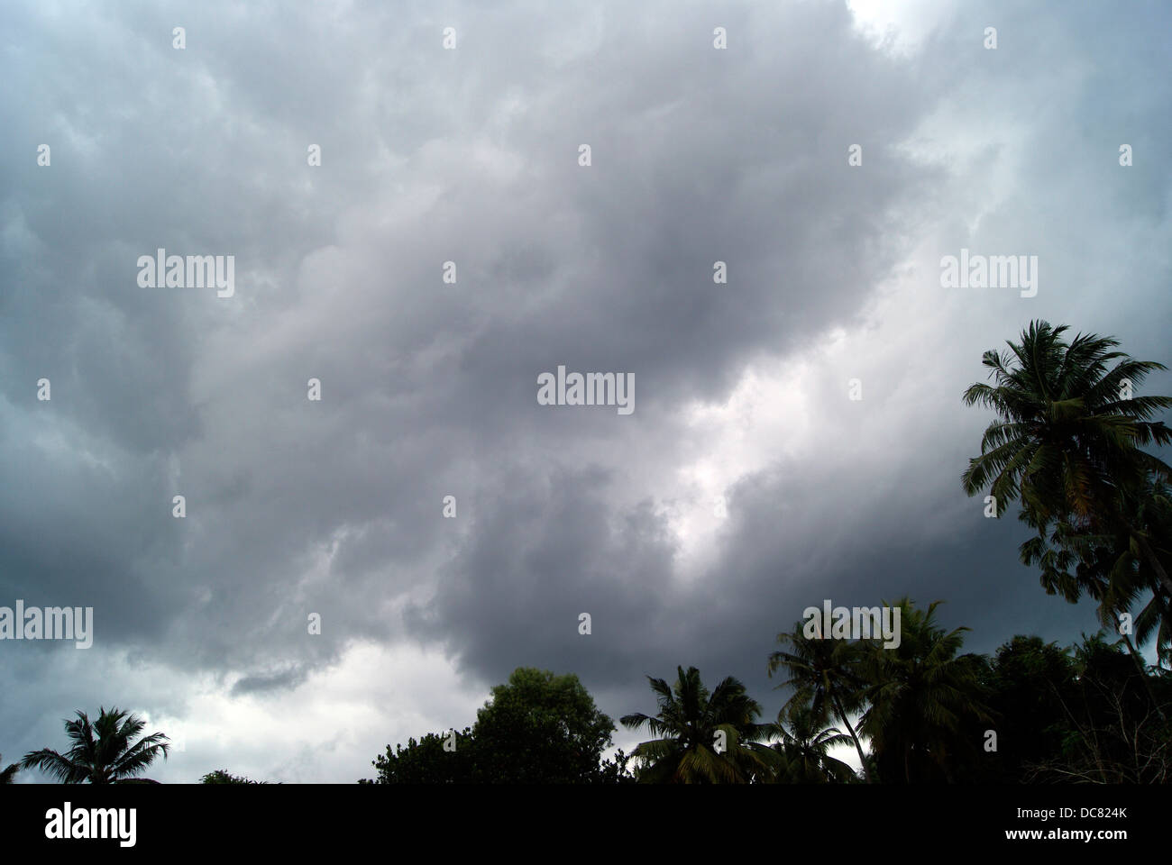 Monsoon climates kerala hi-res stock photography and images - Alamy