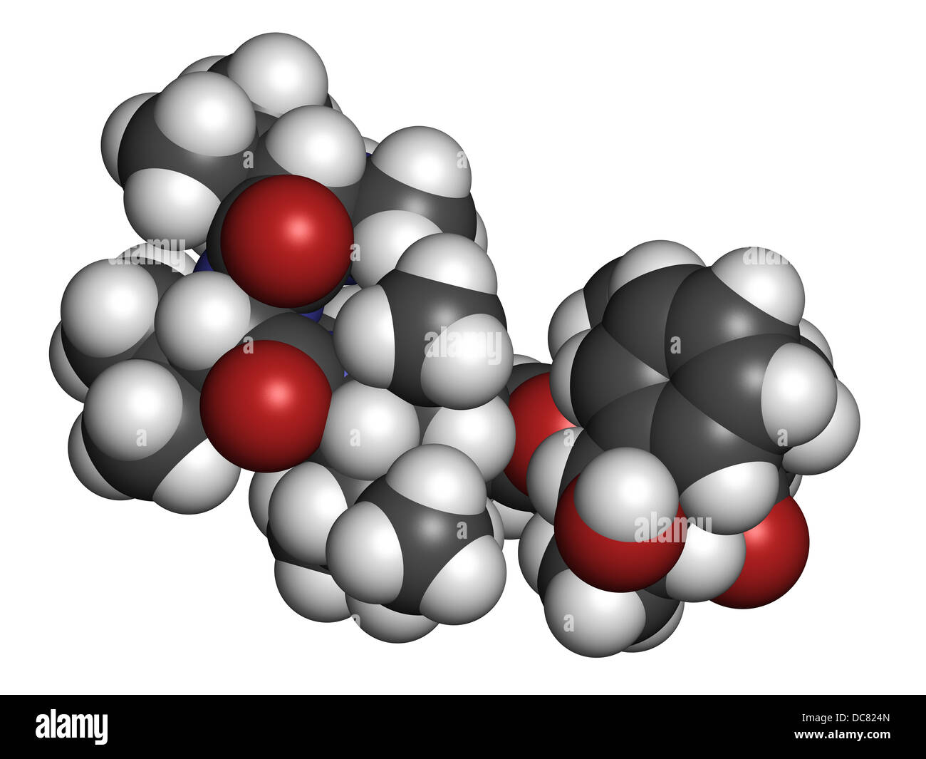 Monomethyl auristatin E (MMAE, vedotin), the cytotoxic payload of ...