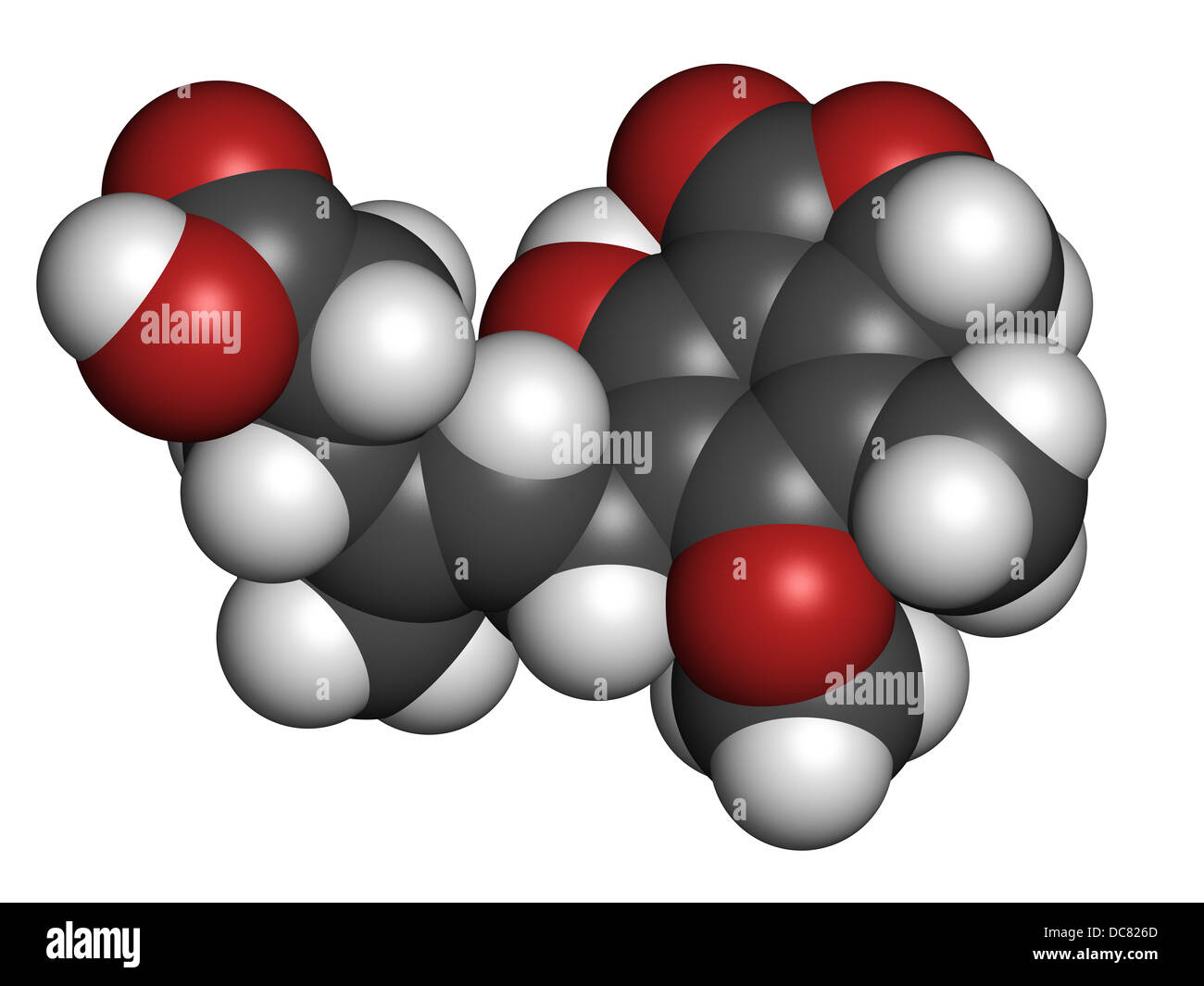 Mycophenolate (mycophenolic acid) immunosuppressive drug, chemical ...