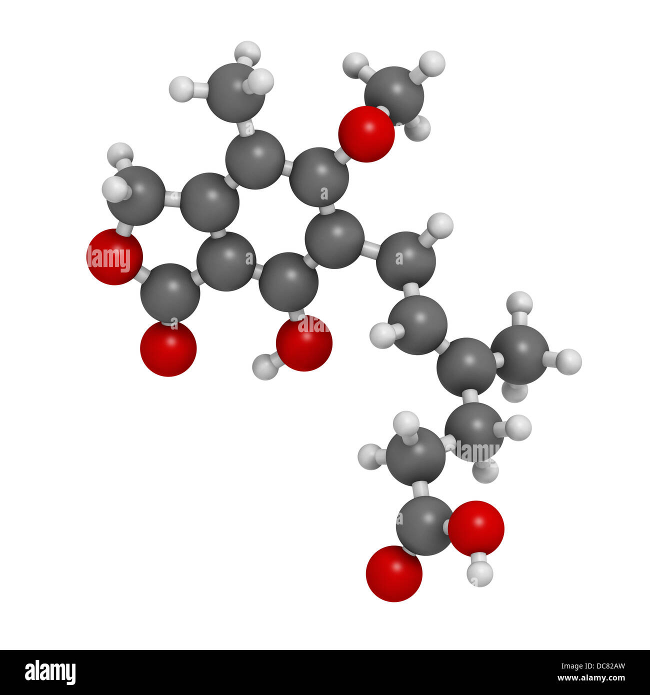 Mycophenolate (mycophenolic acid) immunosuppressive drug, chemical ...