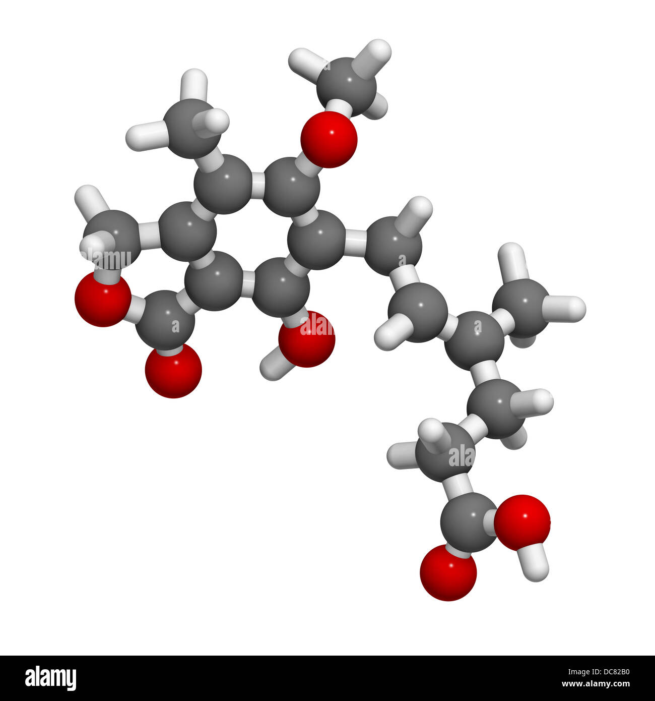 Mycophenolate (mycophenolic acid) immunosuppressive drug, chemical ...