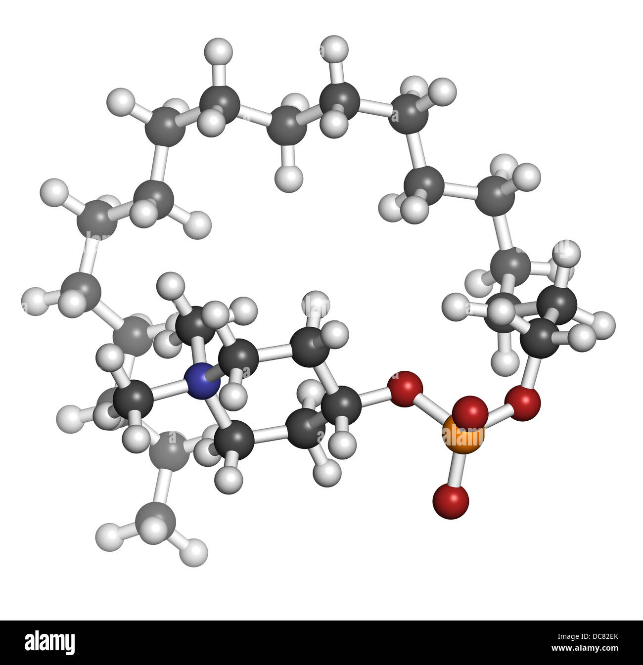 Perifosine investigational cancer drug, chemical structure. Atoms are ...