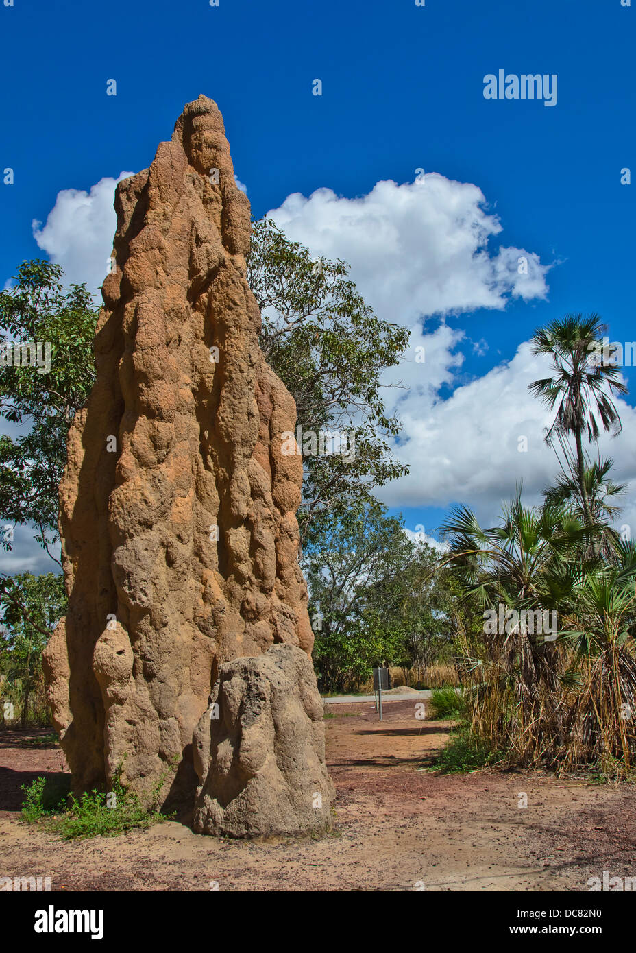 Cathedral termite mound hi-res stock photography and images - Alamy