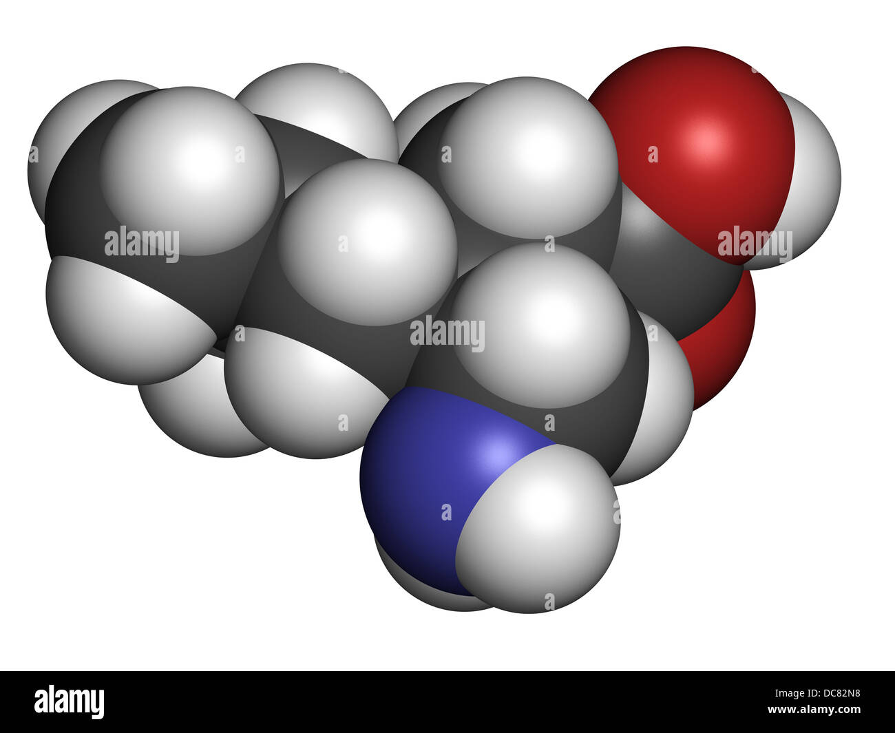 Pregabalin epilepsy and fibromyalgia drug, chemical structure. Atoms ...