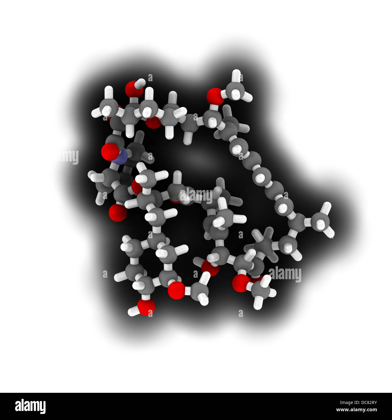 Rapamycin (sirolimus) immunosuppressive drug, chemical structure. Used ...