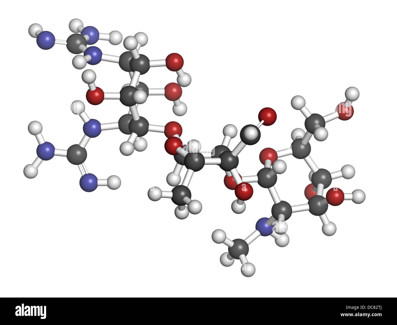 Streptomycin tuberculosis antibiotic (aminoglycoside class), chemical ...