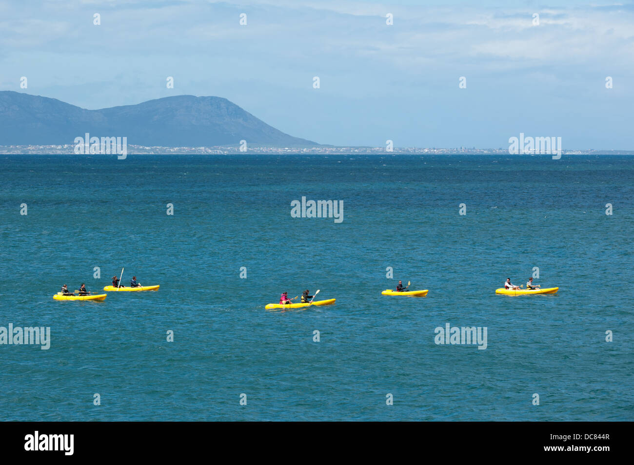 Sea kayaking, Hermanus, Western Cape, South Africa Stock Photo - Alamy