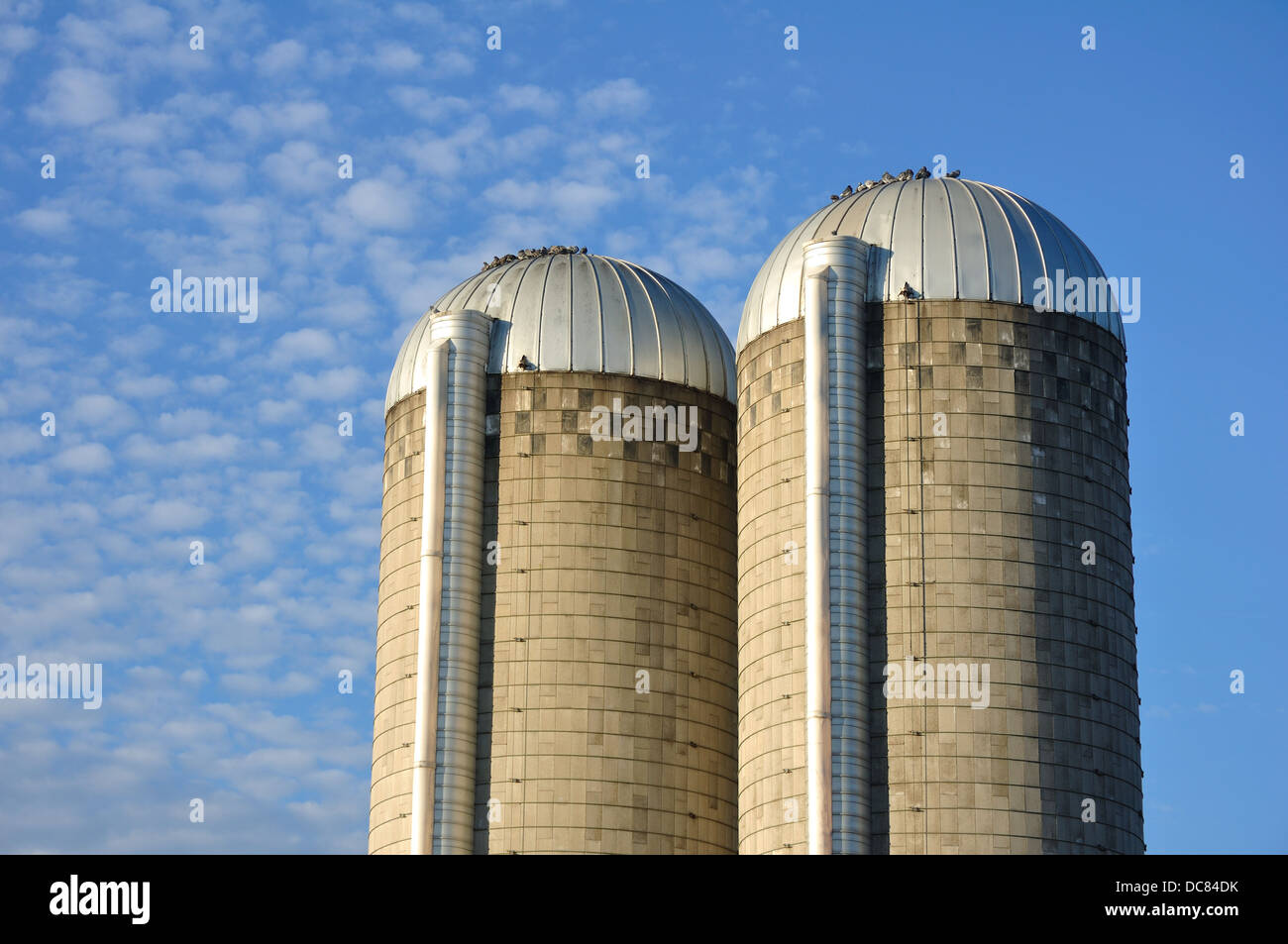 Stave silo hi-res stock photography and images - Alamy