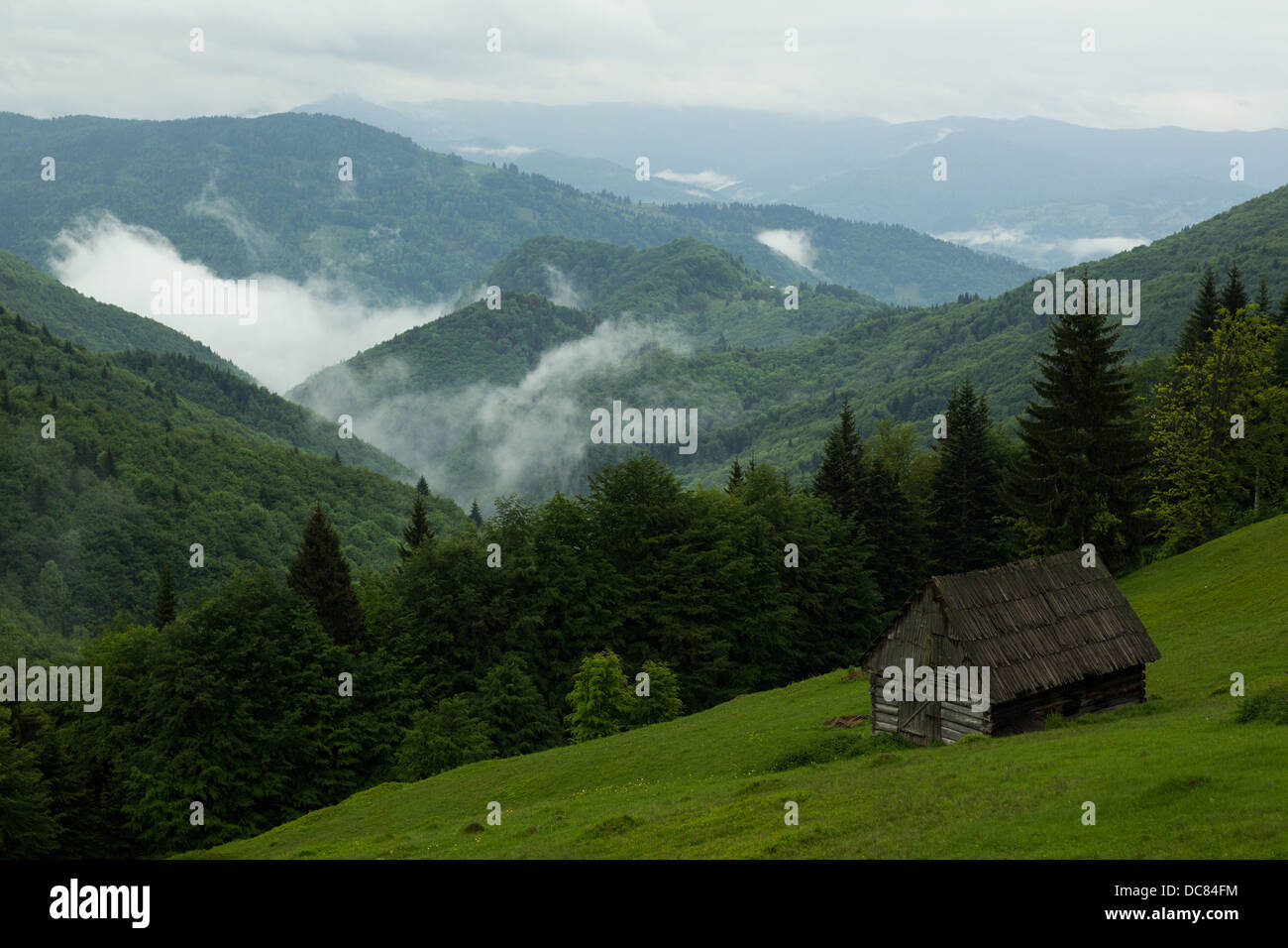 Maramures hi-res stock photography and images - Alamy