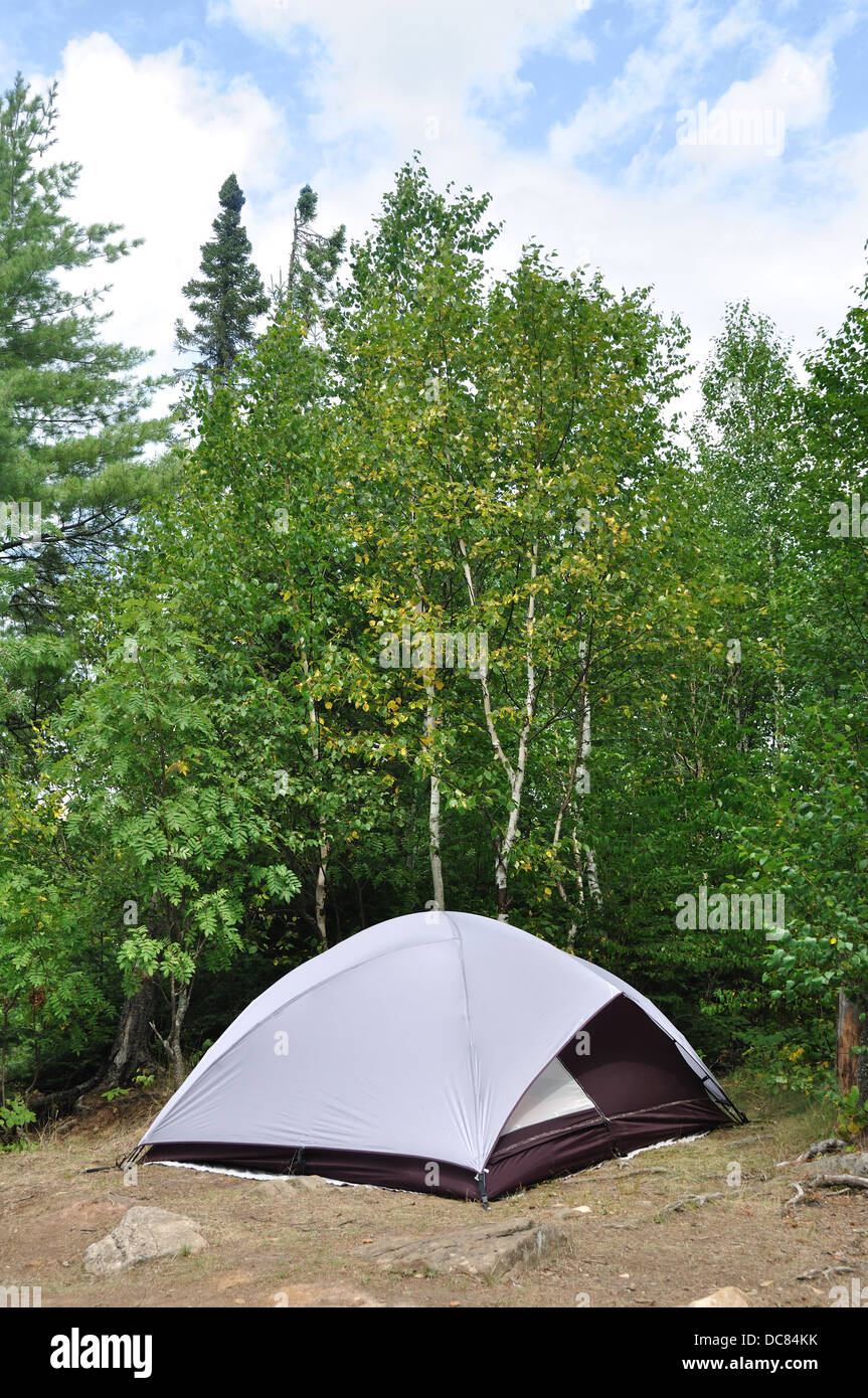 Tent at campsite in a forest clearing Stock Photo - Alamy
