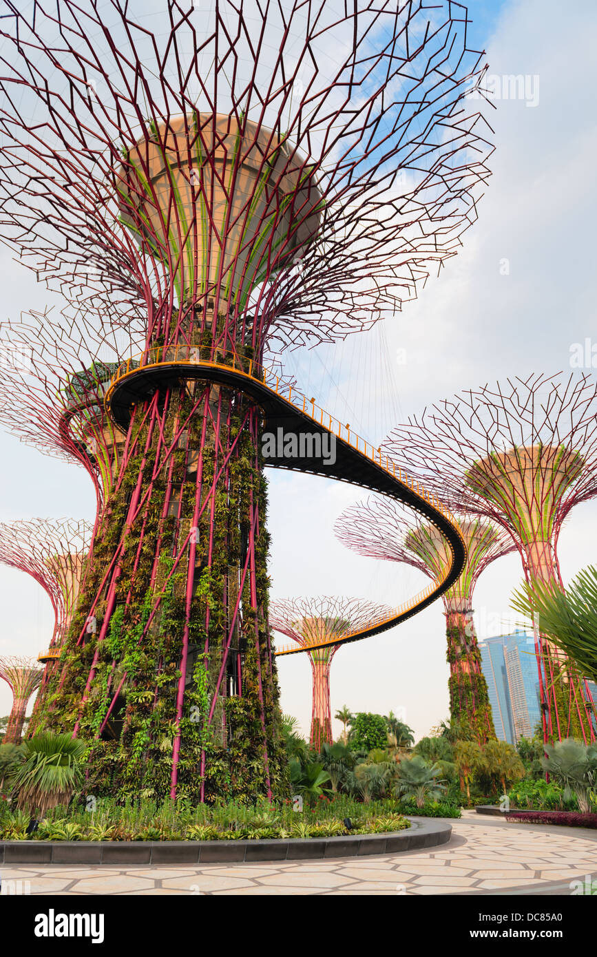 The artificial super tree grove as a vertical gardens with Skyway ...