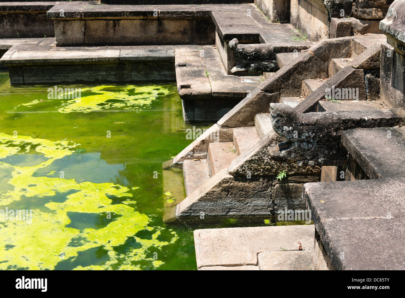 Ruins of Kumara Pokuna (royal bathing pond) in ancient Sri Lanka ...