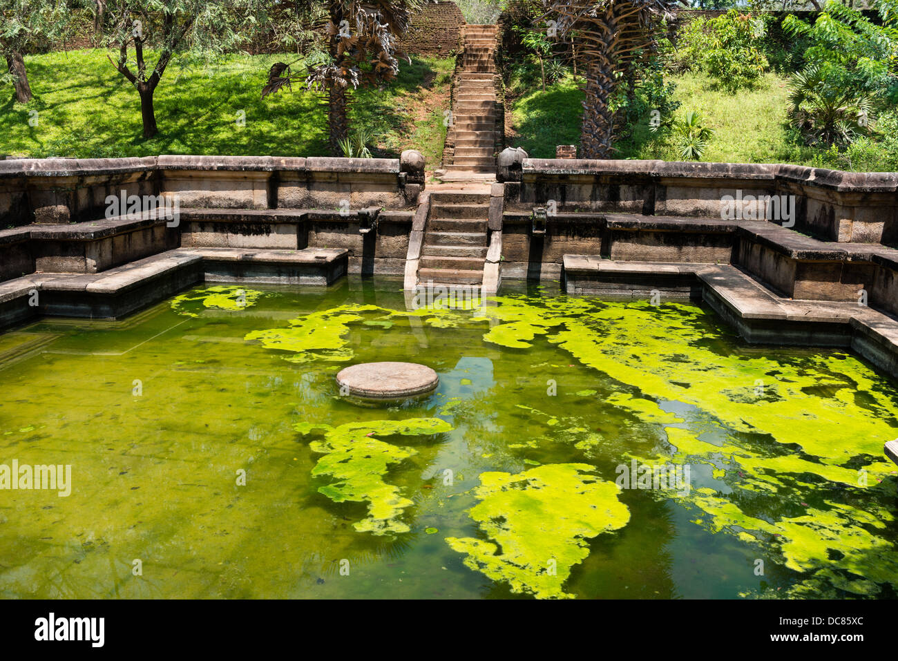 Ruins of Kumara Pokuna (royal bathing pond) in ancient Sri Lanka ...