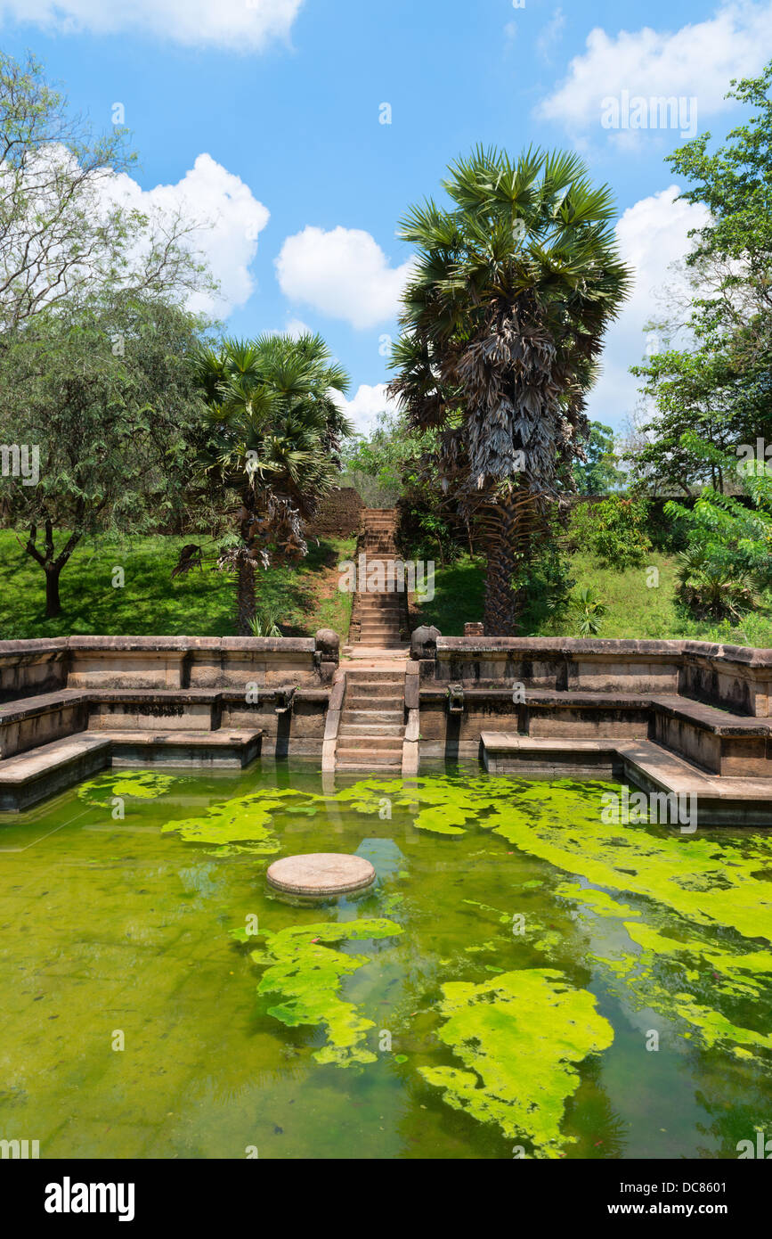 Ruins of Kumara Pokuna (royal bathing pond) in ancient Sri Lanka ...