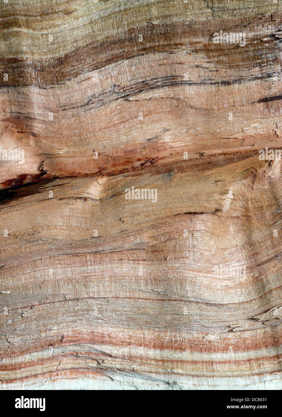 Why Does Wood Split Along The Grain at Paul Maxwell blog