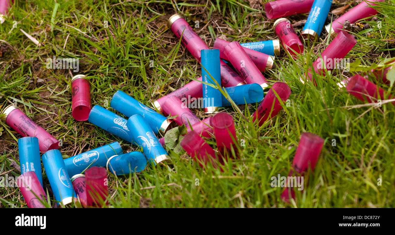 Shotgun shells grass High Resolution Stock Photography and Images - Alamy