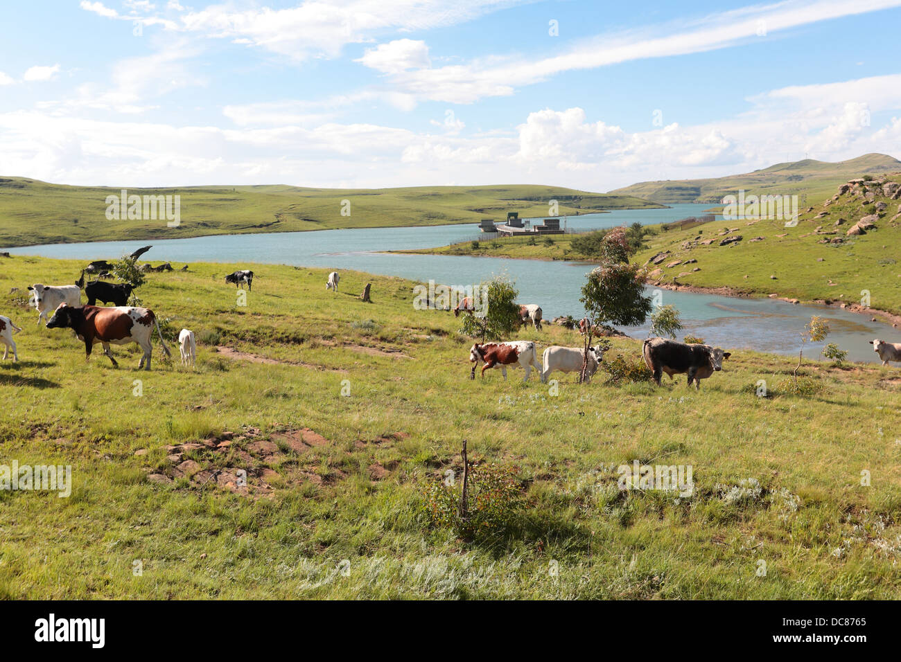 Sterkfontein dam hi-res stock photography and images - Alamy