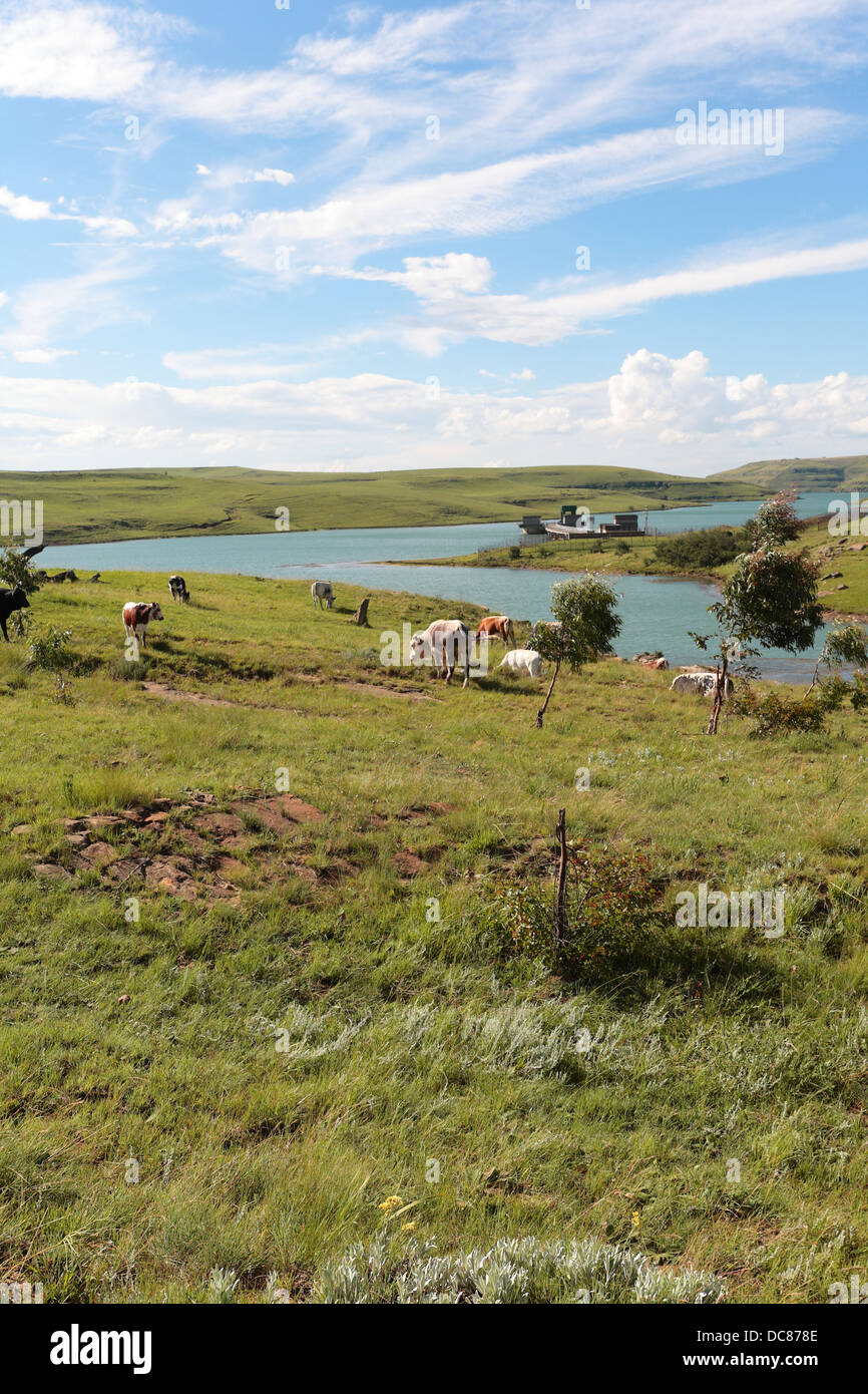 Sterkfontein dam hi-res stock photography and images - Alamy