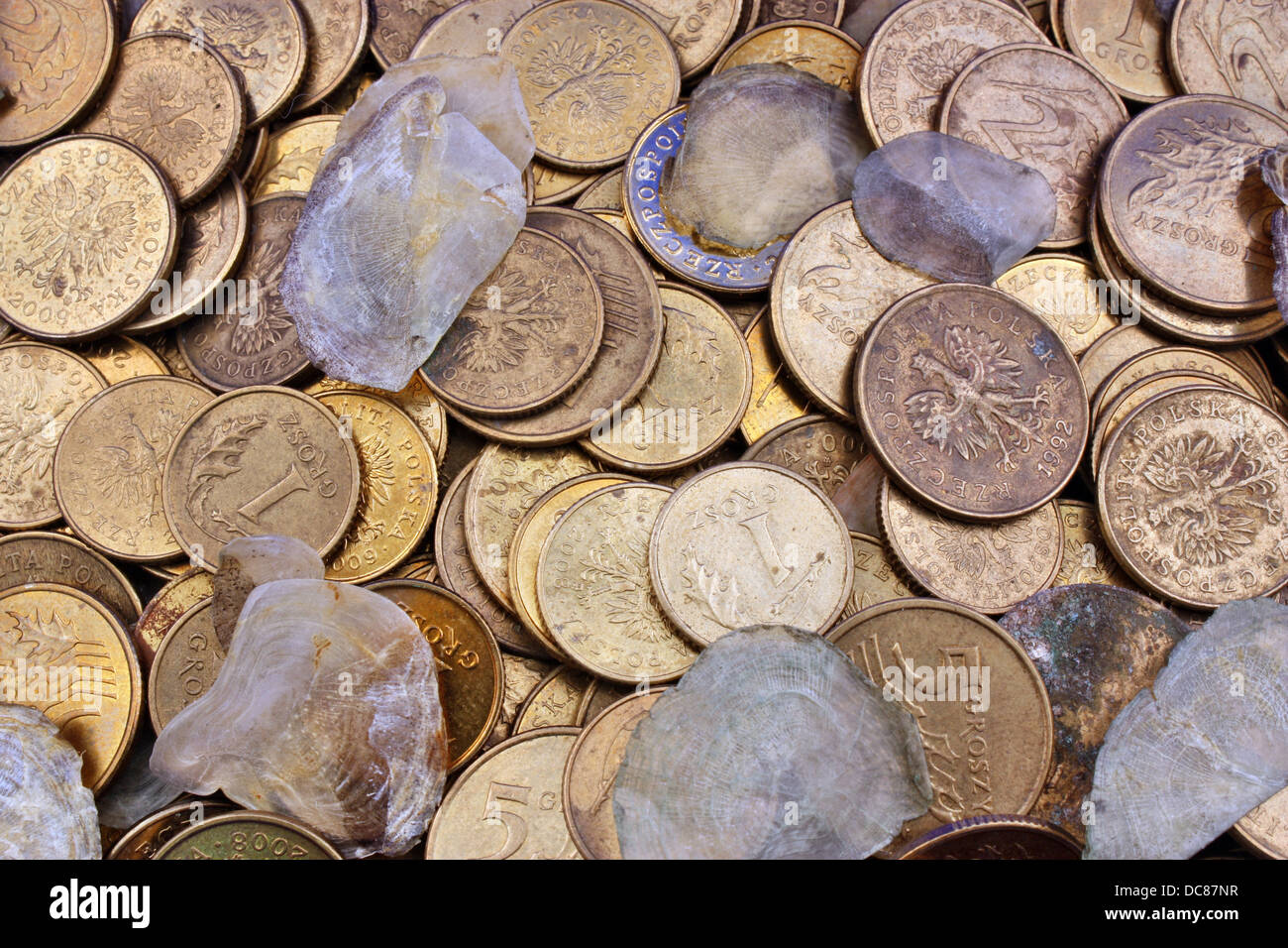 Money pennies and fortunately carp scales Stock Photo - Alamy