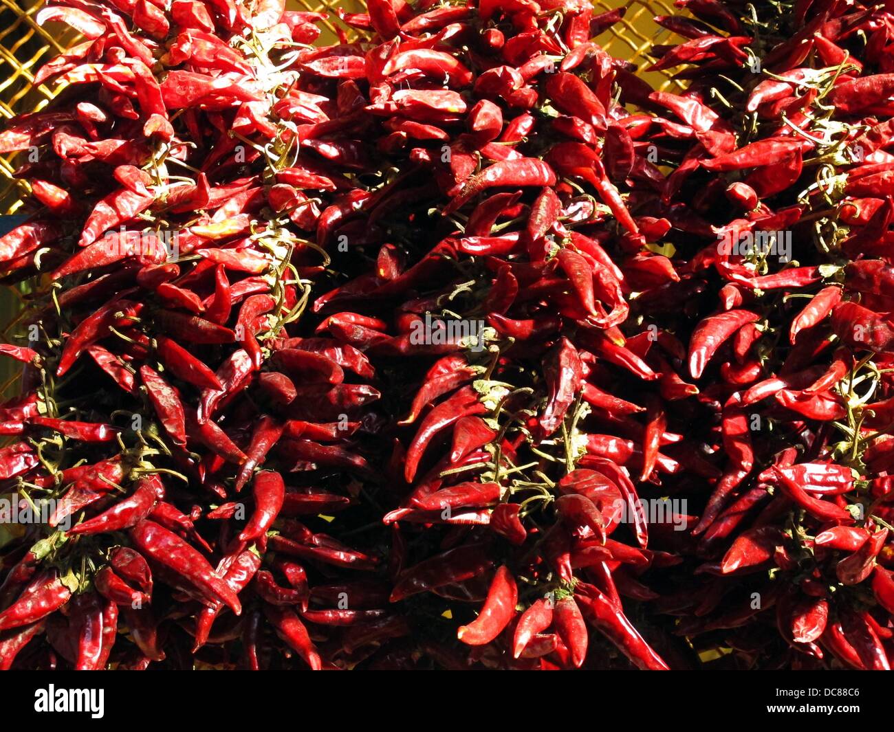Red peppers are on display in the Great Market Hall (Nagy Vasarcsarnok ...
